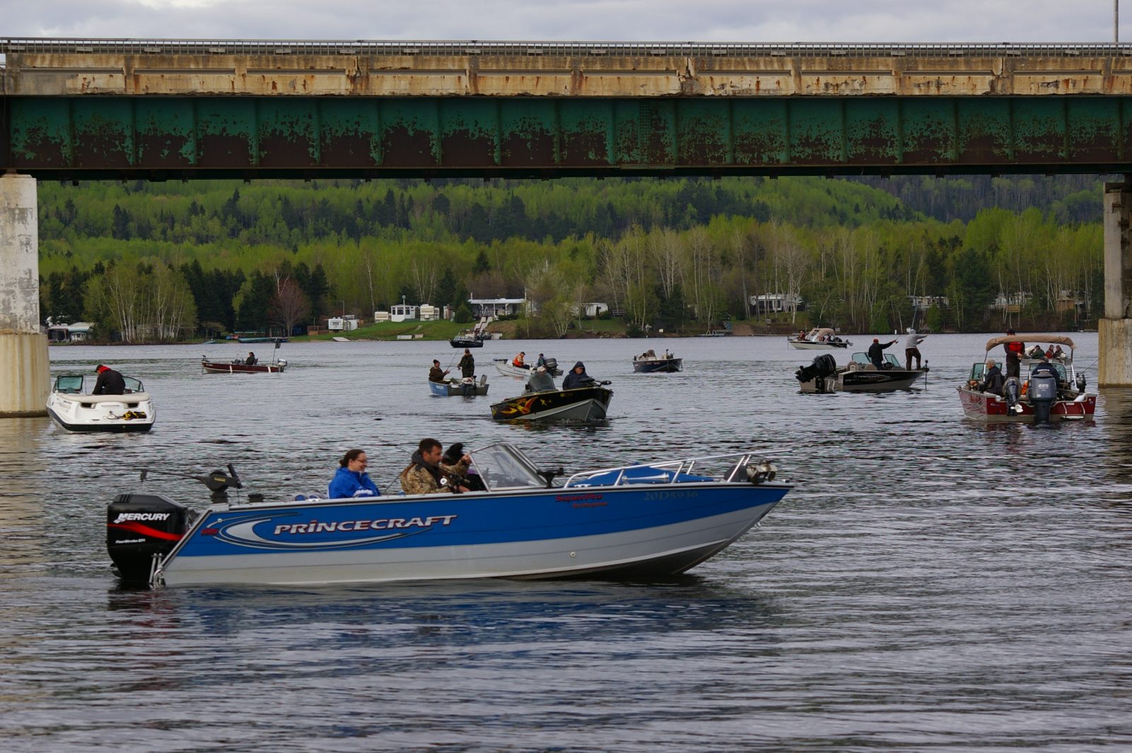 Achigan et crapet-soleil: Des menaces aux portes du lac Saint-Jean